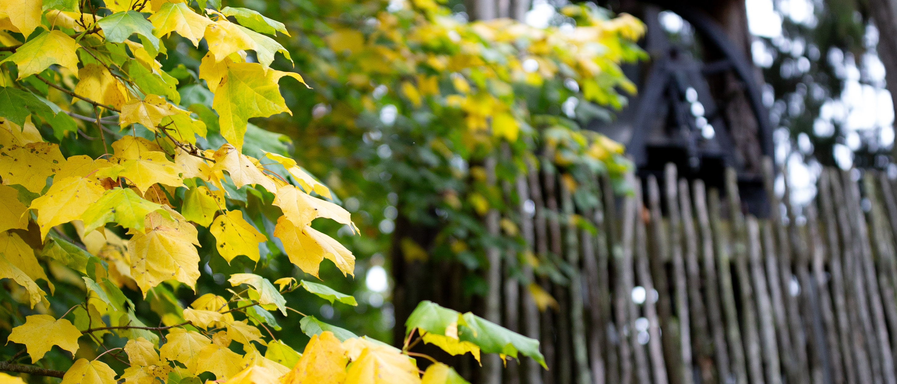 Fall Benefit for Nashotah House - Nashotah